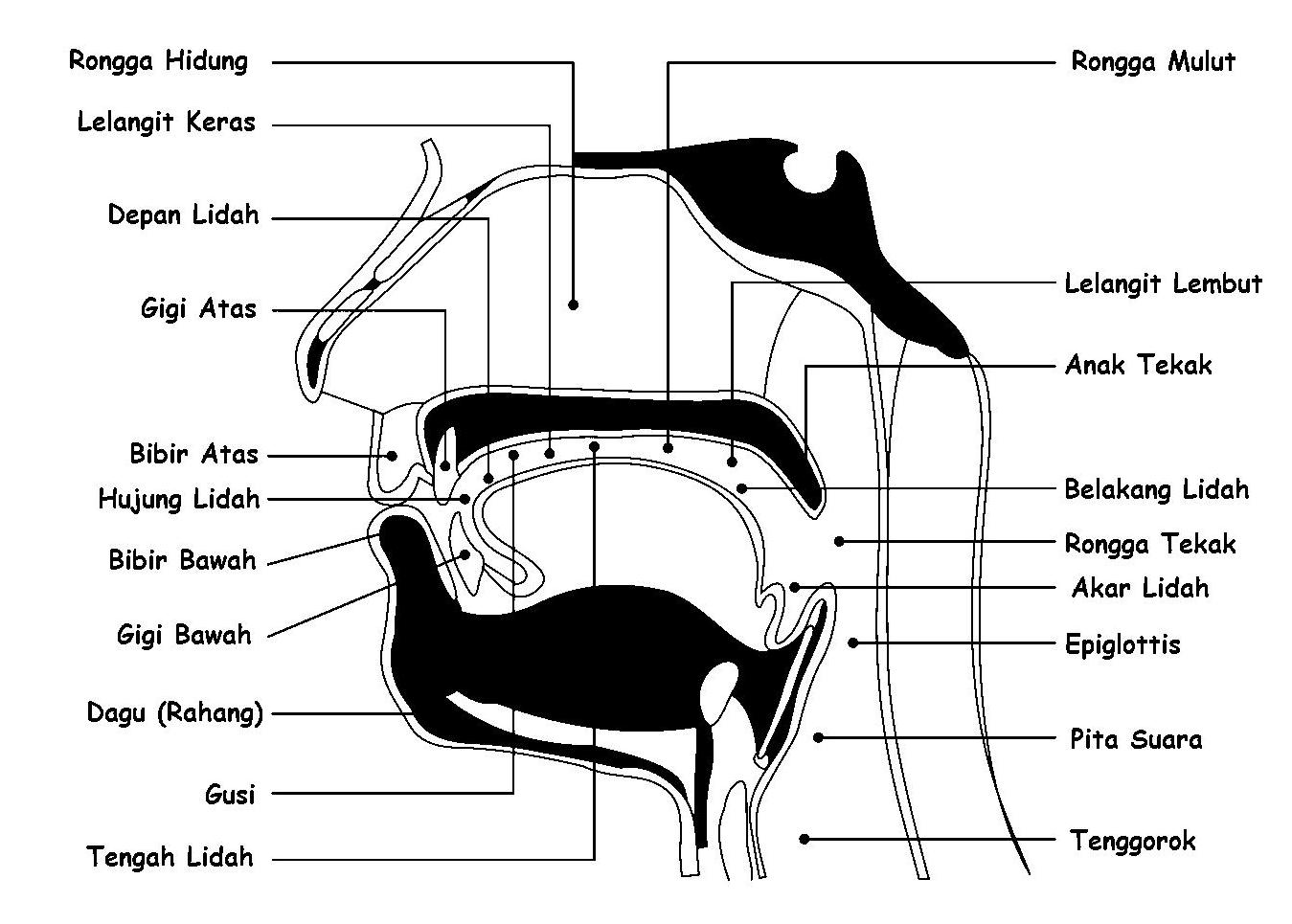 IKHWAL FONOLOGI BAHASA INDONESIA ~ Dedd' 157