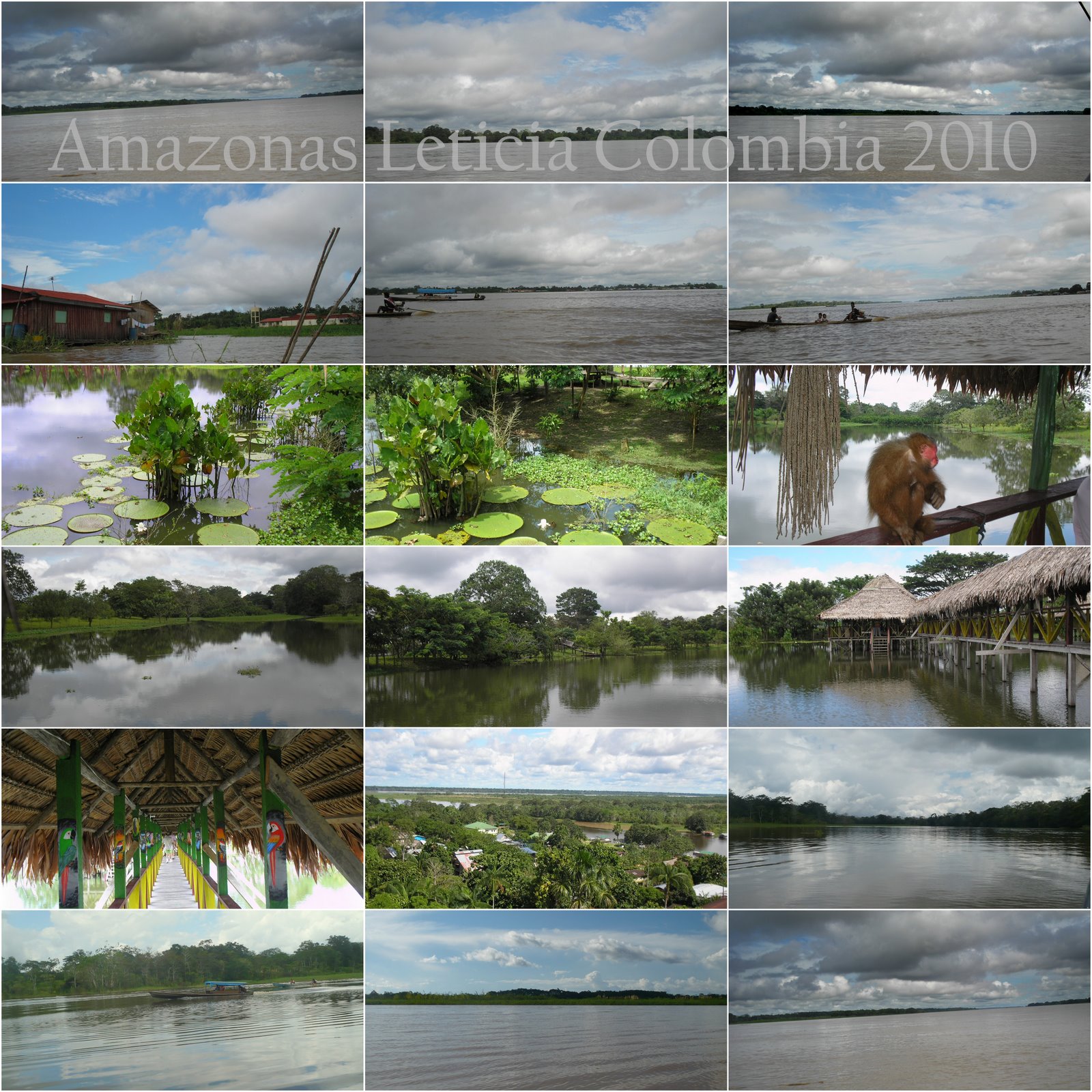 El Amazonas: LETICIA