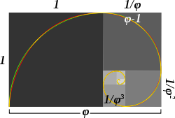 Deret Fibonacci dalam Biologi - Generasi Biologi
