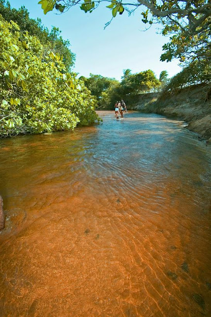 PIRAMBU: SERGIPE - PAISÁGENS ~ Conhecimento é tudo