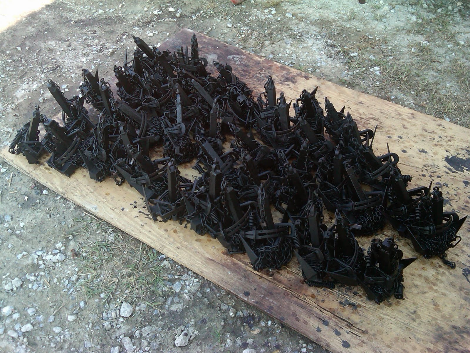 RETURN OF THE RED WOLF: A New Season