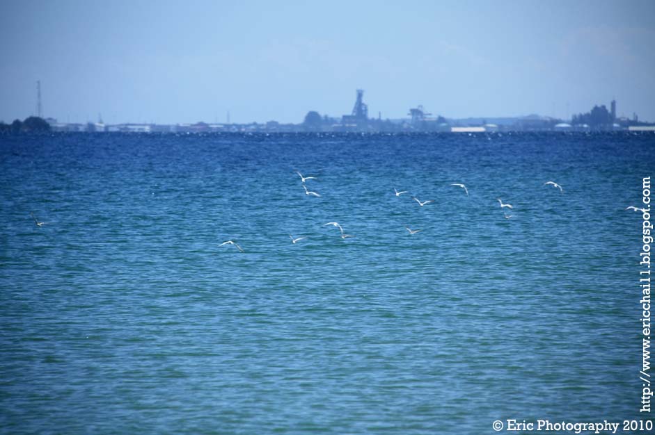 Eric's: Kuraman Island