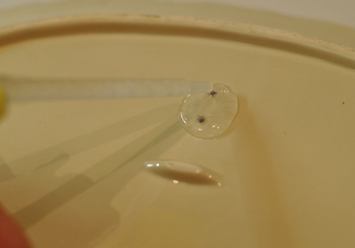 LaurieAnna's Vintage Home: Floating Plates ~ Easy DIY Tutorial