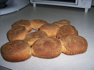 Little Green Parakeet: Burned Biscuits and more...