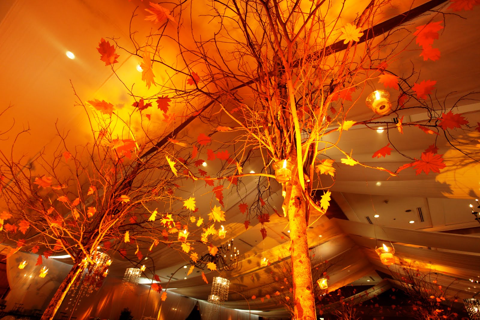 Lush Blooms: Autumn Theme