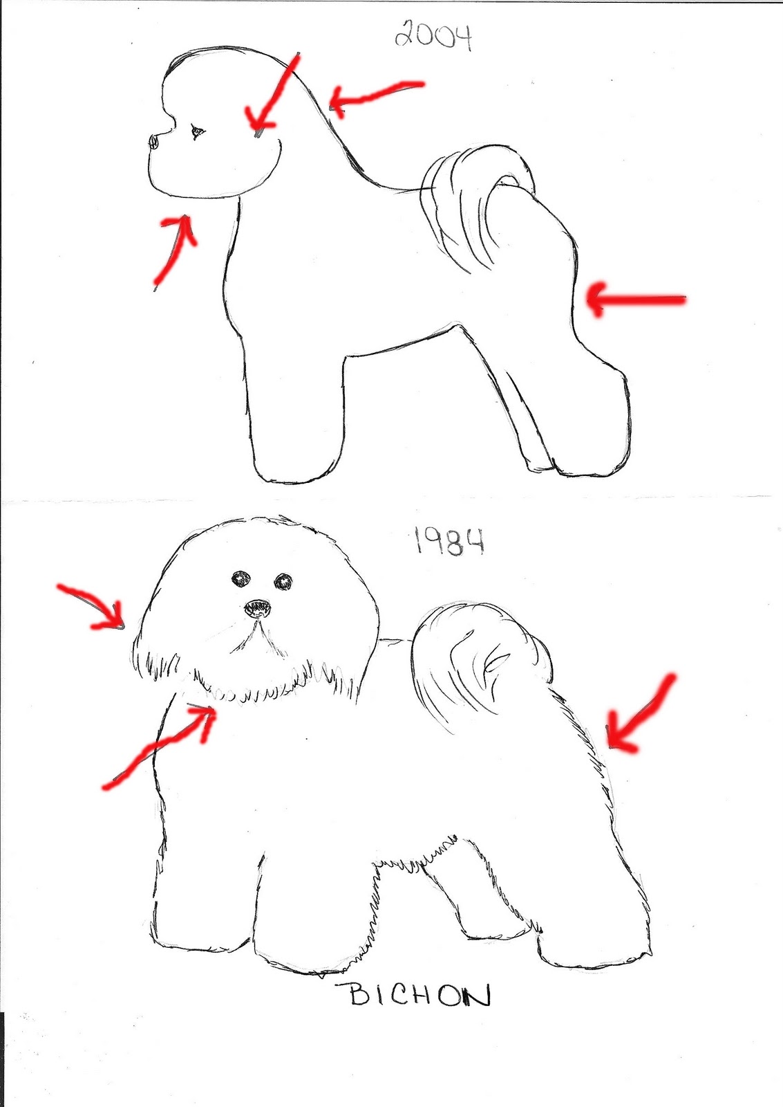 Pet Grooming: The Good, The Bad, & The Furry: Grooming Changes