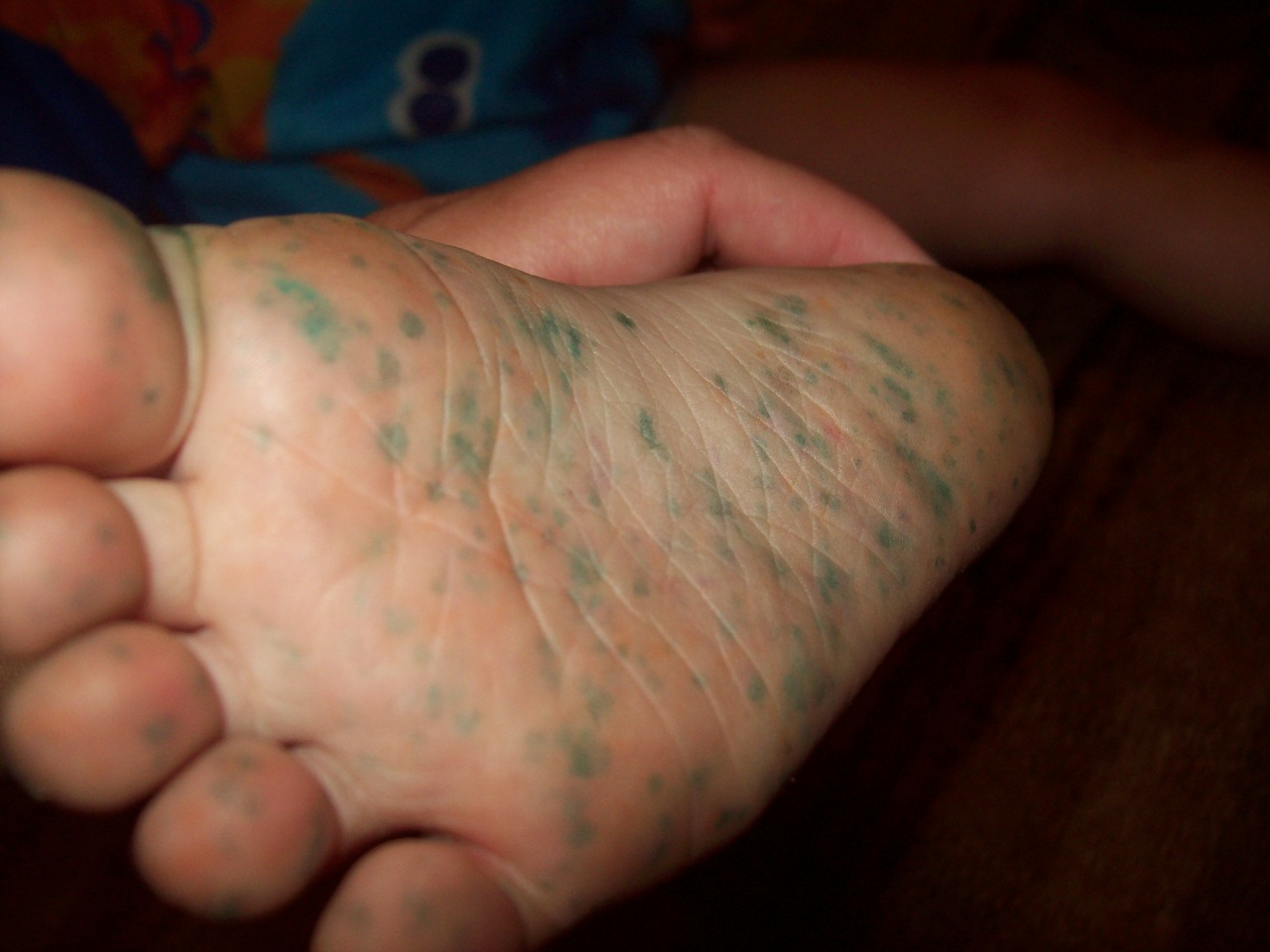 Simbeck Trucking - Winchester VA | TruckersReport.com Trucking Forum ...