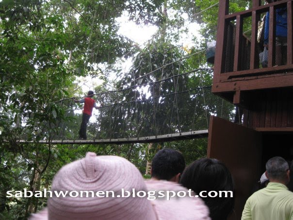 Canopy Walkway at Poring Hot Spring, Ranau | Sumandak Kinabalu Little ...