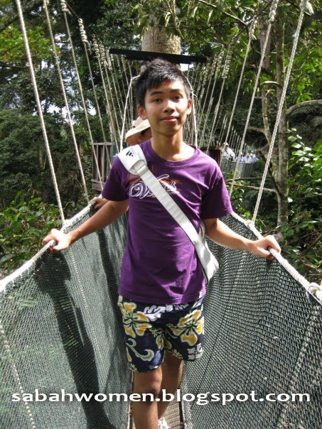 Canopy Walkway at Poring Hot Spring, Ranau | Sumandak Kinabalu Little ...