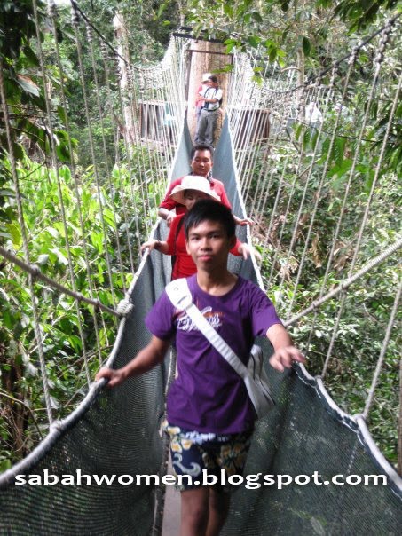 Canopy Walkway at Poring Hot Spring, Ranau | Sumandak Kinabalu Little ...