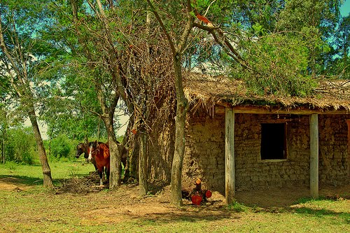 El GAUCHOGUACHO: A mi rancho