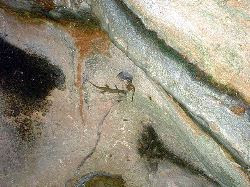 Saipan Pictures: Kalabera Cave