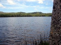 Saipan Pictures: Lake Susupe