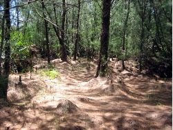 Saipan Pictures: Lake Susupe