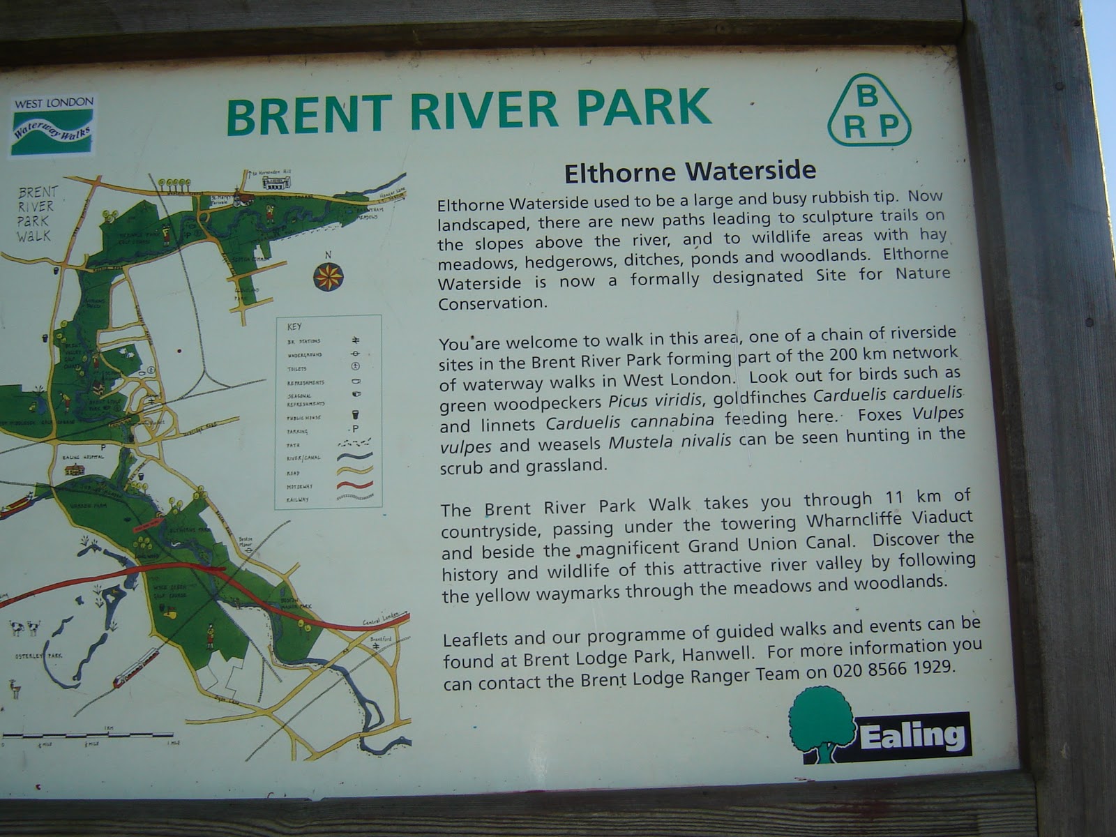 London Stories: Zoo, Harrods, Sunday Afternoon at Elthorne