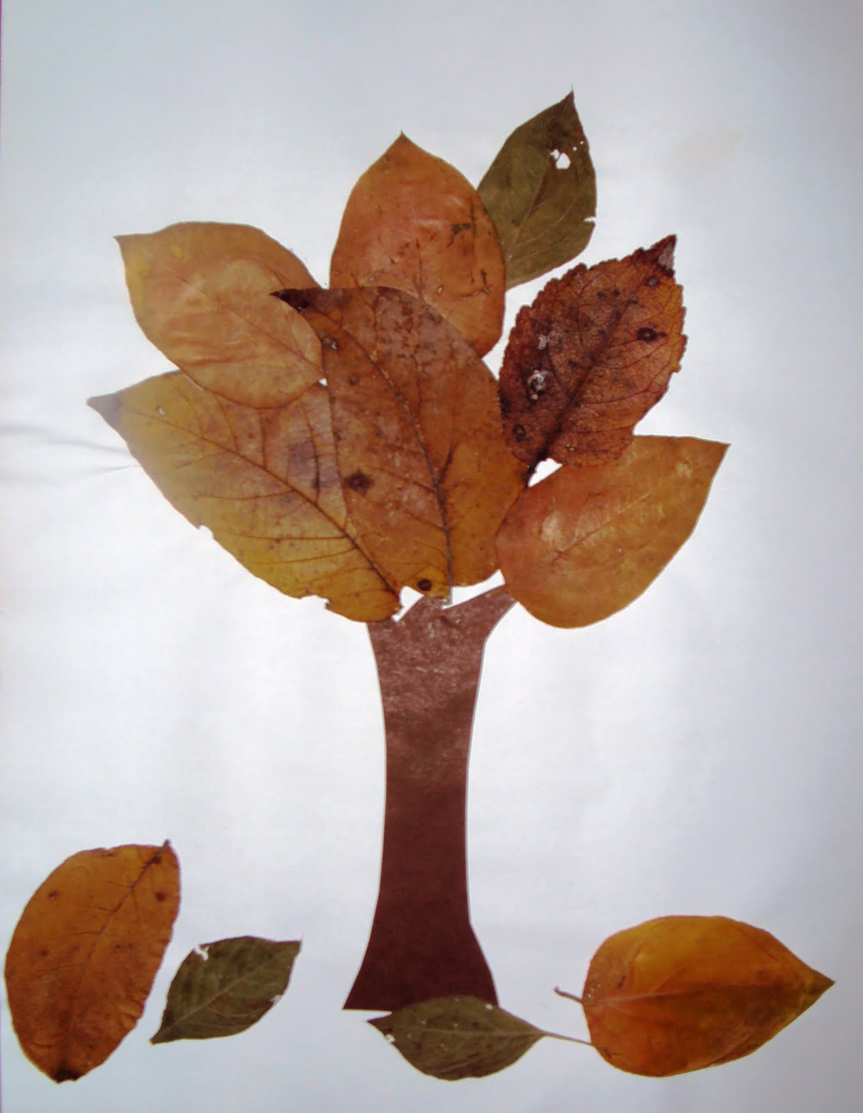 activitati practice: Copac din frunze