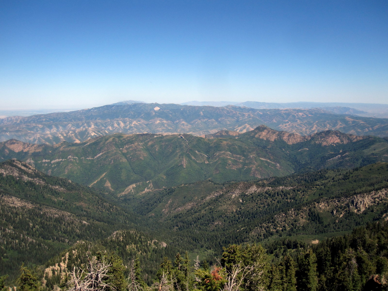 wasatch and beyond: Gobblers Knob and Mt Raymond