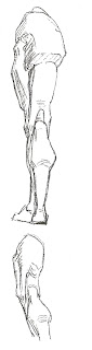 Foundation Drawing Section Z: FIGURE- Planes and Construction