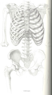 Foundation Drawing Section X