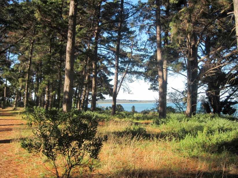 TRACKS, TRAILS AND COASTS NEAR MELBOURNE : Merricks Beach Clifftop ...