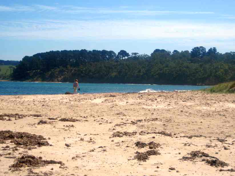 TRACKS, TRAILS AND COASTS NEAR MELBOURNE : Poit Leo to Shoreham ...