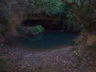 PUERTO RICO GALLERY: El Pozo Brujo
