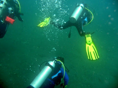 God's wonderful creation: Diving at Lembeh Straits Part 1