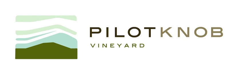 Pilot Knob Vineyard Blog