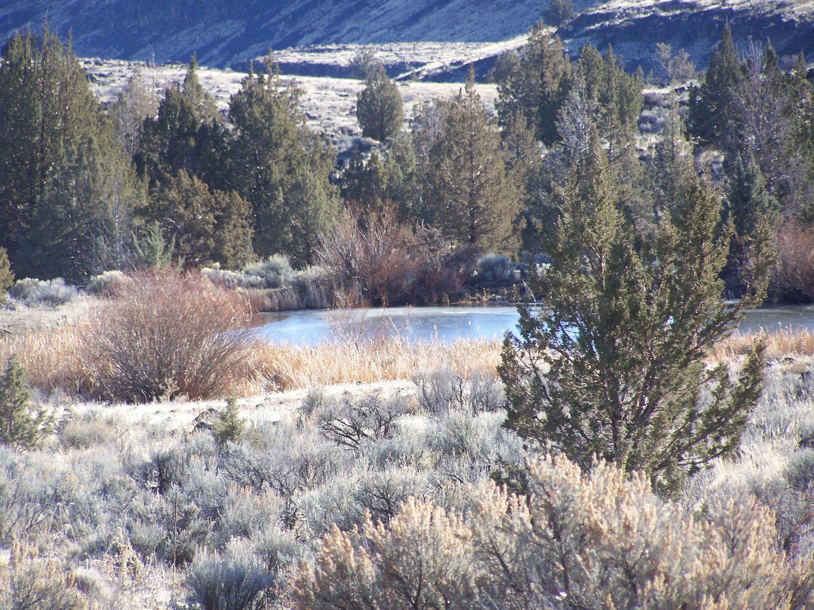 Julia 's Life Journey: Road Trip Date and Photos