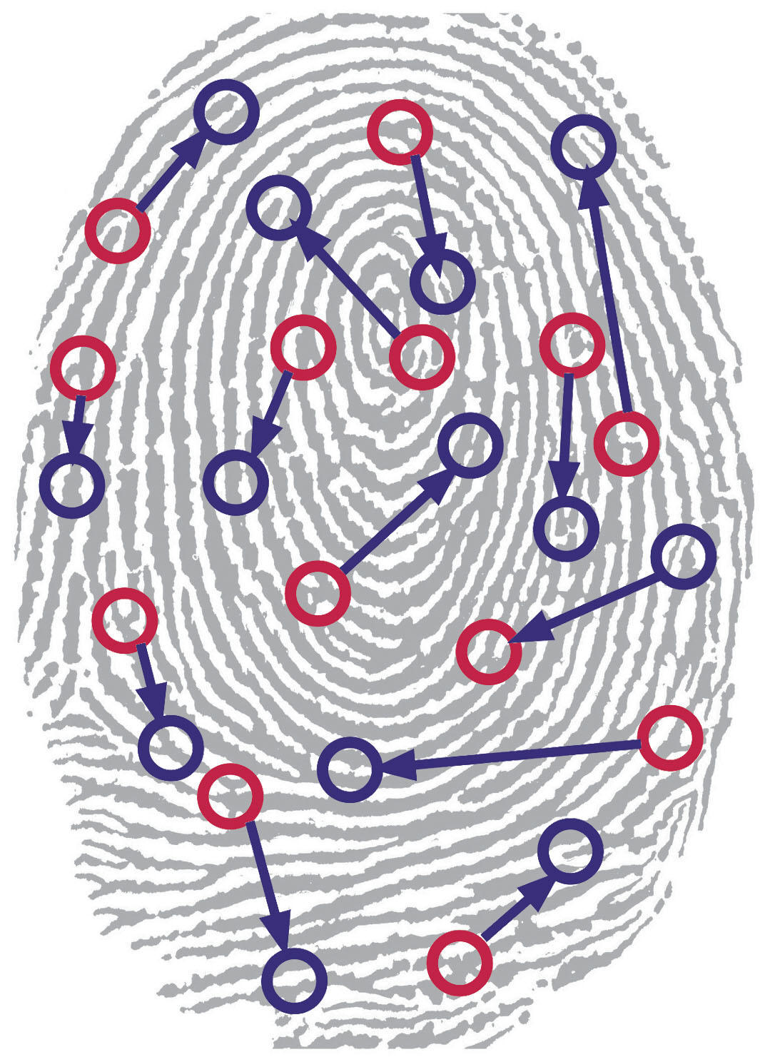 Personal Leadership Insight: Skill Assessment: Your Leadership Fingerprint