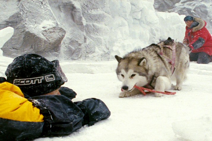 Paul Walker Eight Below Maya