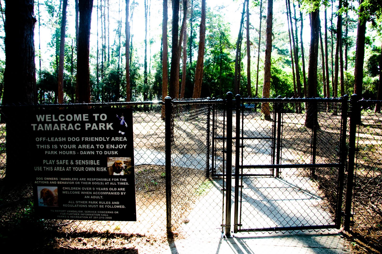 The Woodlands Texas Parks: Tamarac Dog Park