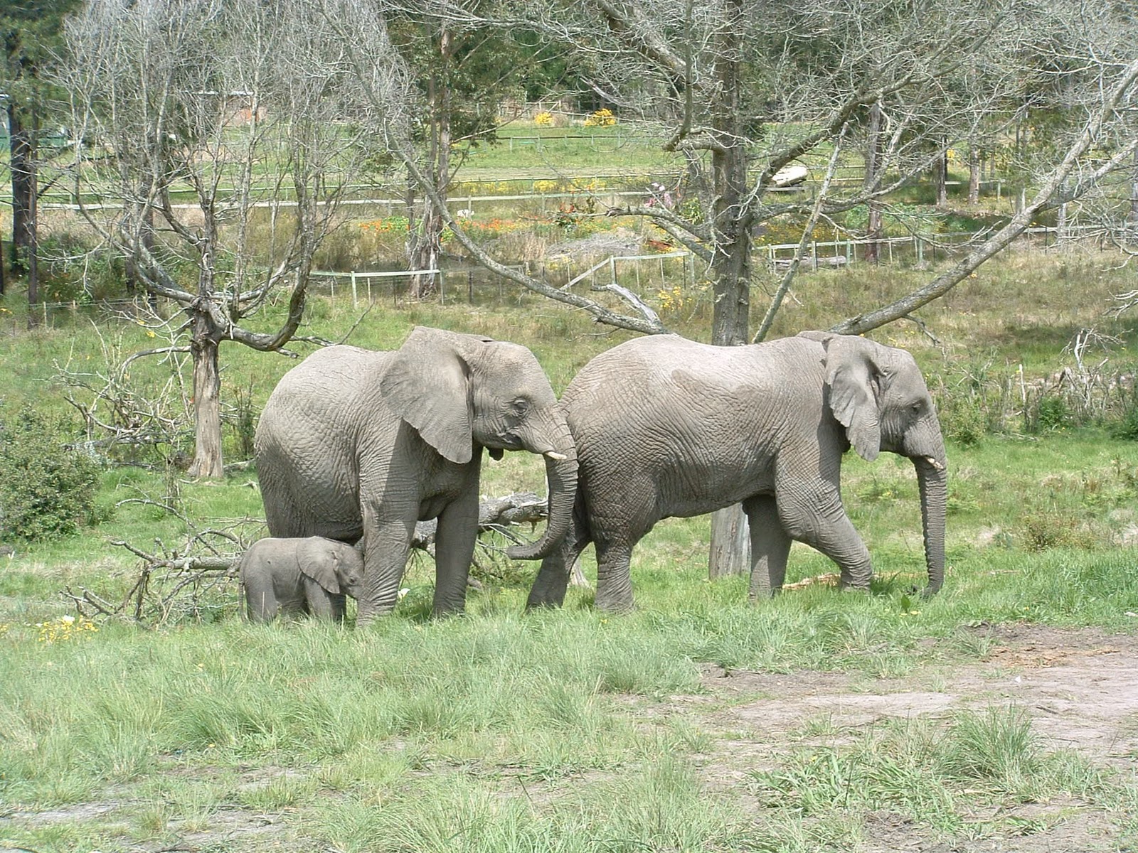 The Gallery - Creatures of South Africa | Mum In The Madhouse