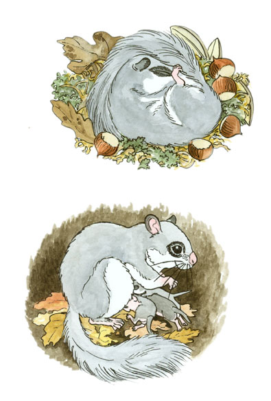 Concetta Flore - Nature artist: DISEGNI PER BAMBINI- DRAWINGS FOR CHILDREN