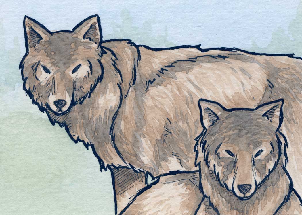 Anagram for Ink: Drawing Norse Myth, Or The Animals, Anyway