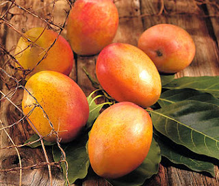 comercio exterior: Mangos de exportacion!