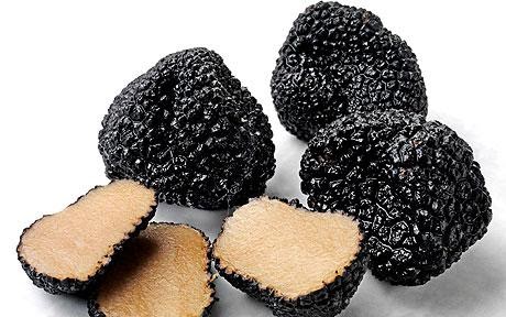 The Phytophactor: A truffle trifle?