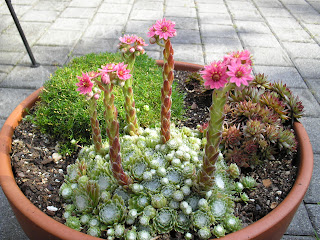 The Style & Design of : DEAN YODER