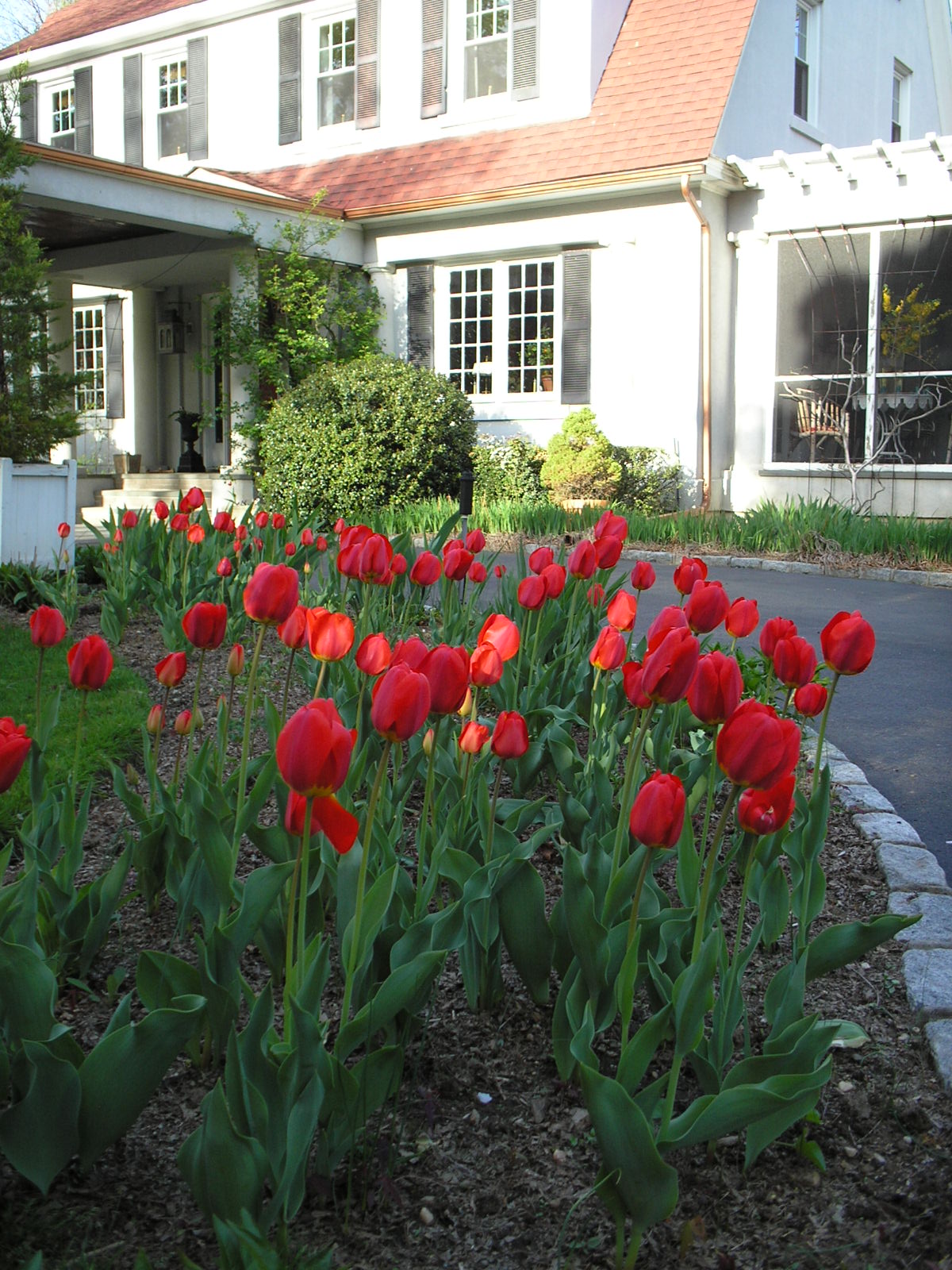 The Style & Design of : DEAN YODER