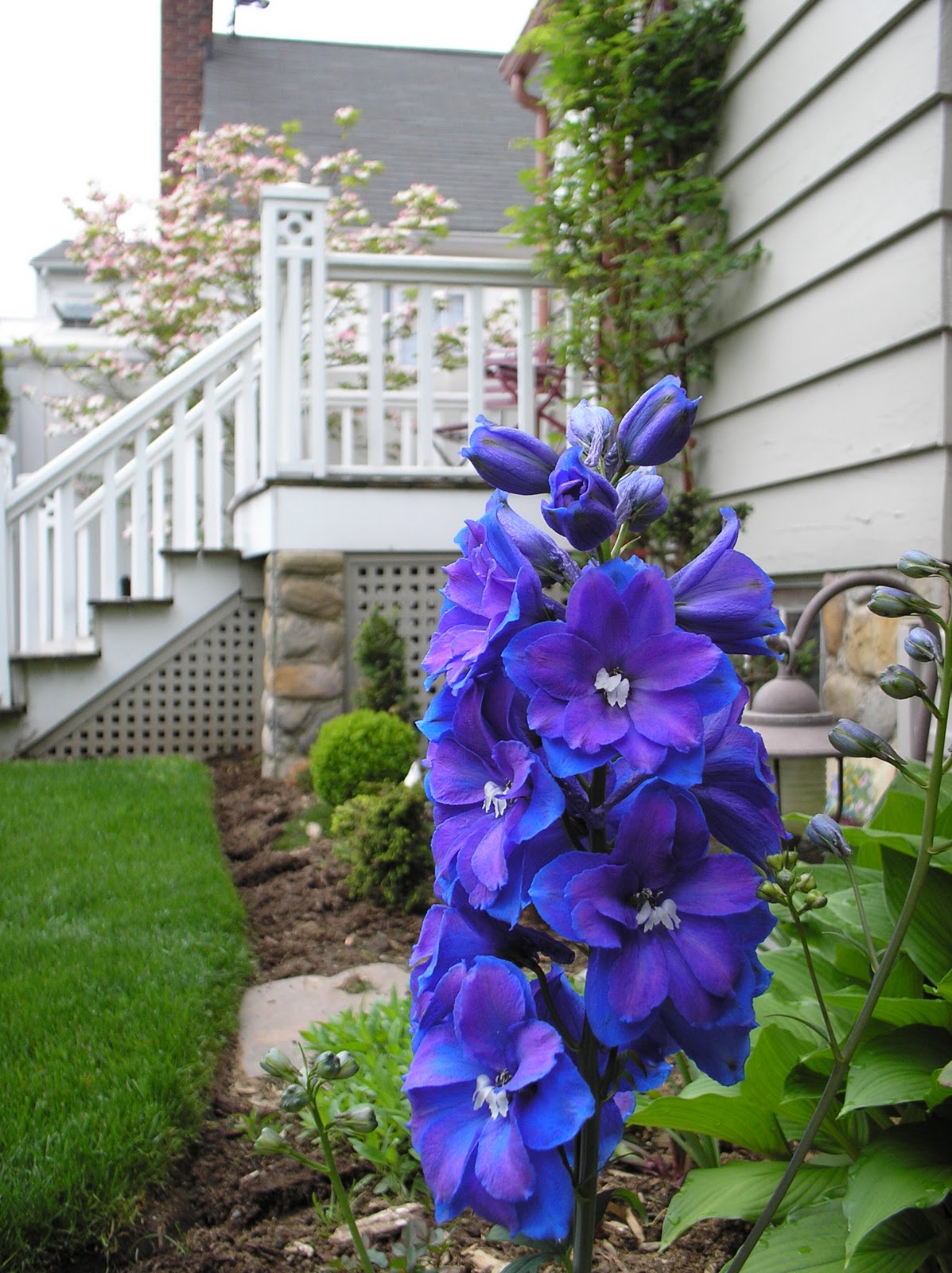 The Style & Design of : DEAN YODER: Dean and Jonathan's Gardens (Part 1)