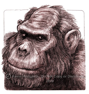 ApeThing Studio's APE of the WEEK Character Designs: "APE of the WEEK ...