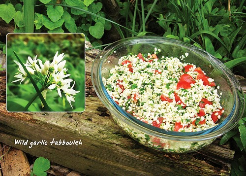 The Outdoor Lab: Two more wild garlic recipes