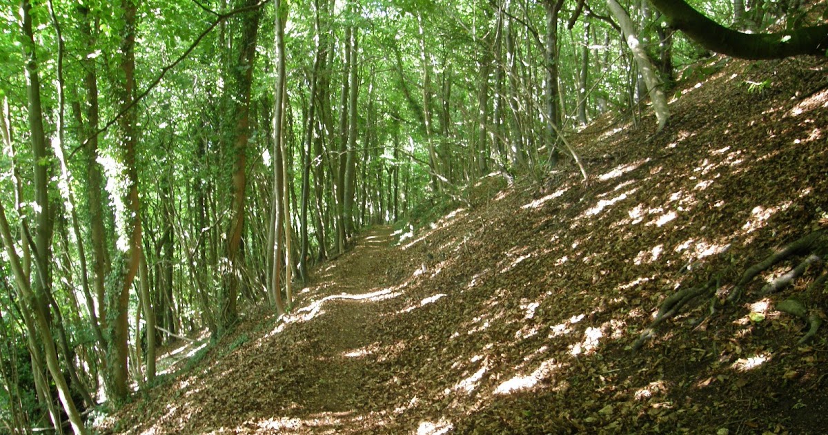 A Cotswold Year: Dappled Shade