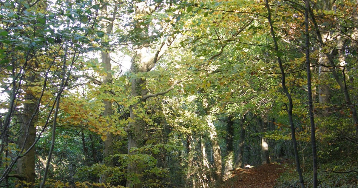 A Cotswold Year: Autumn Walks