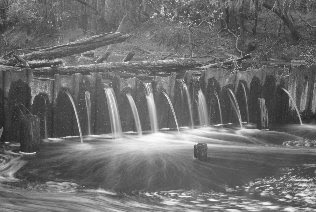 Wayne Morgan Images: Georgia Backroads & Zirkle