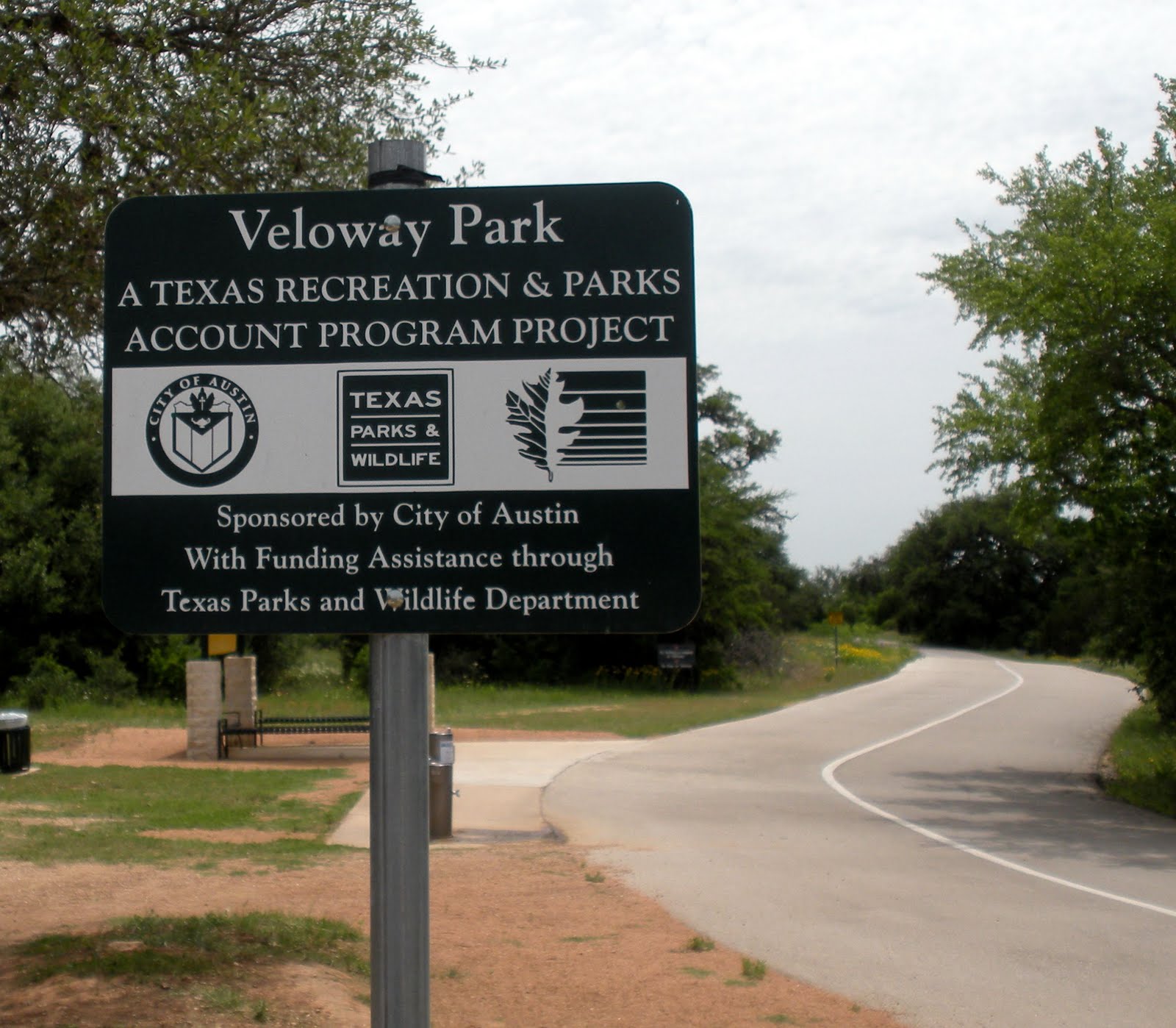 O is for Oenothera Speciosa - HYACINTHS FOR THE SOUL