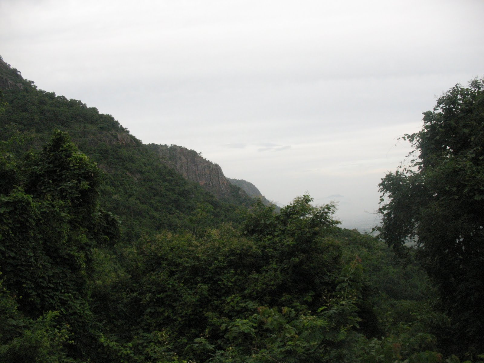 Trekking & Sightseeing: Kiliyur Falls – Yercaud, Tamil Nadu