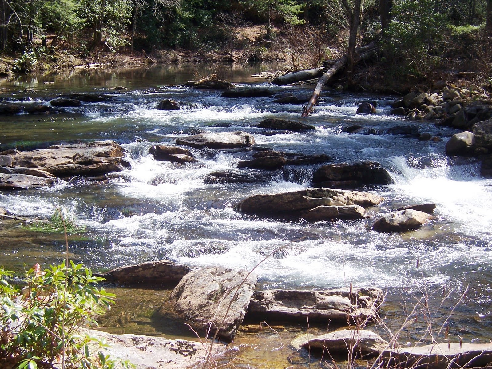 TRAIL CHRONICLES: Beech Bottom Trail to Jack's River Falls on 3/23/10