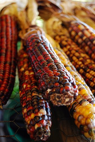 mamahall: teaching Thanksgiving {free printable placemat}