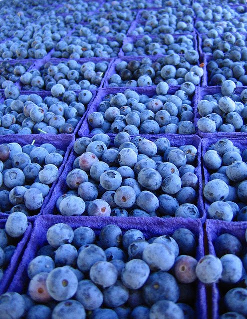 Good Night, Sweet Girl: Blueberry Fields Forever